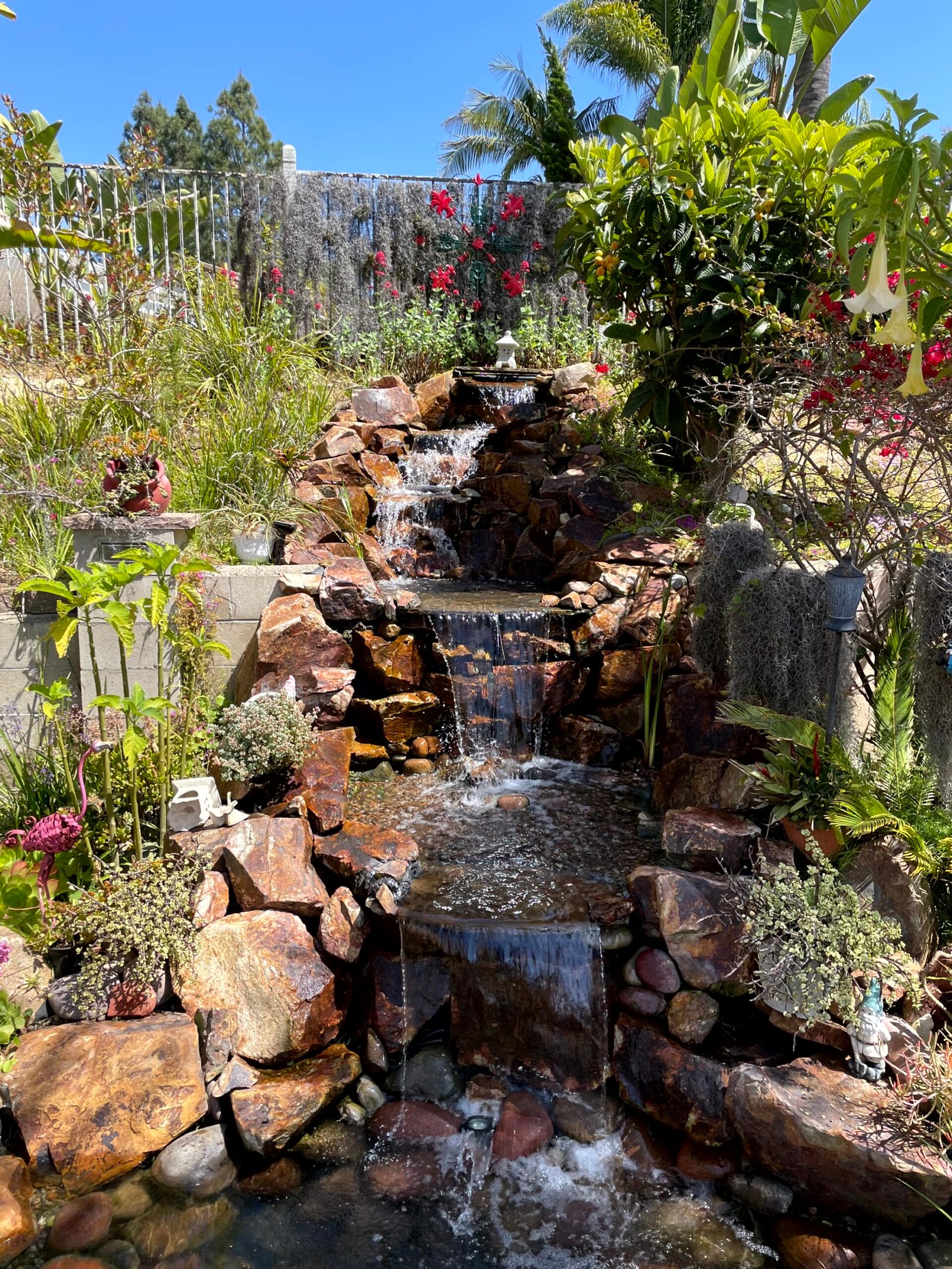 So Cal Waterscapes – San Diego Water Garden Master